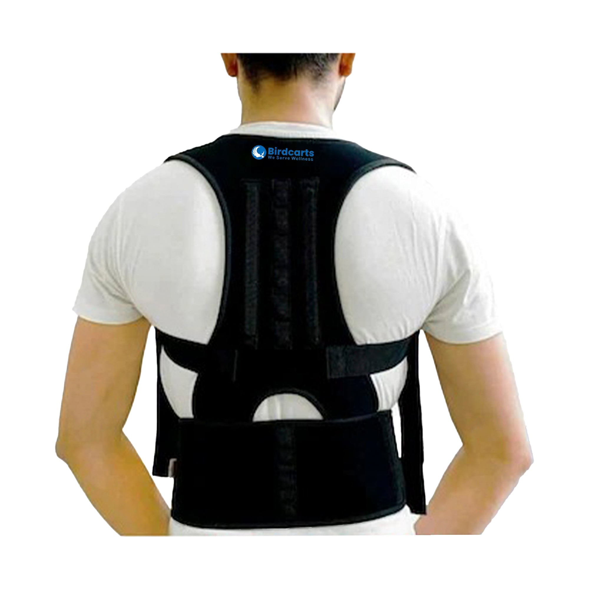 Best Posture Corrector Belt in India for Men & Women | Birdcart – Birdcarts